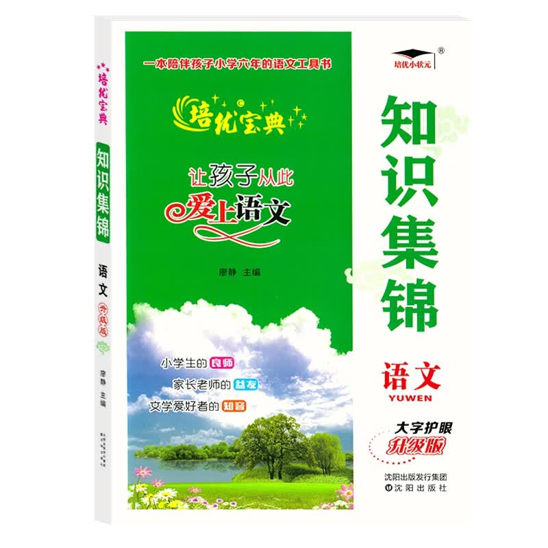 2023新知识集锦语文升级版大字护眼全国版小学生1-6年级统编语文知识大全文学常识字词成语归纳六年级小升初 知识集锦【语文】知识点归纳 小学通用