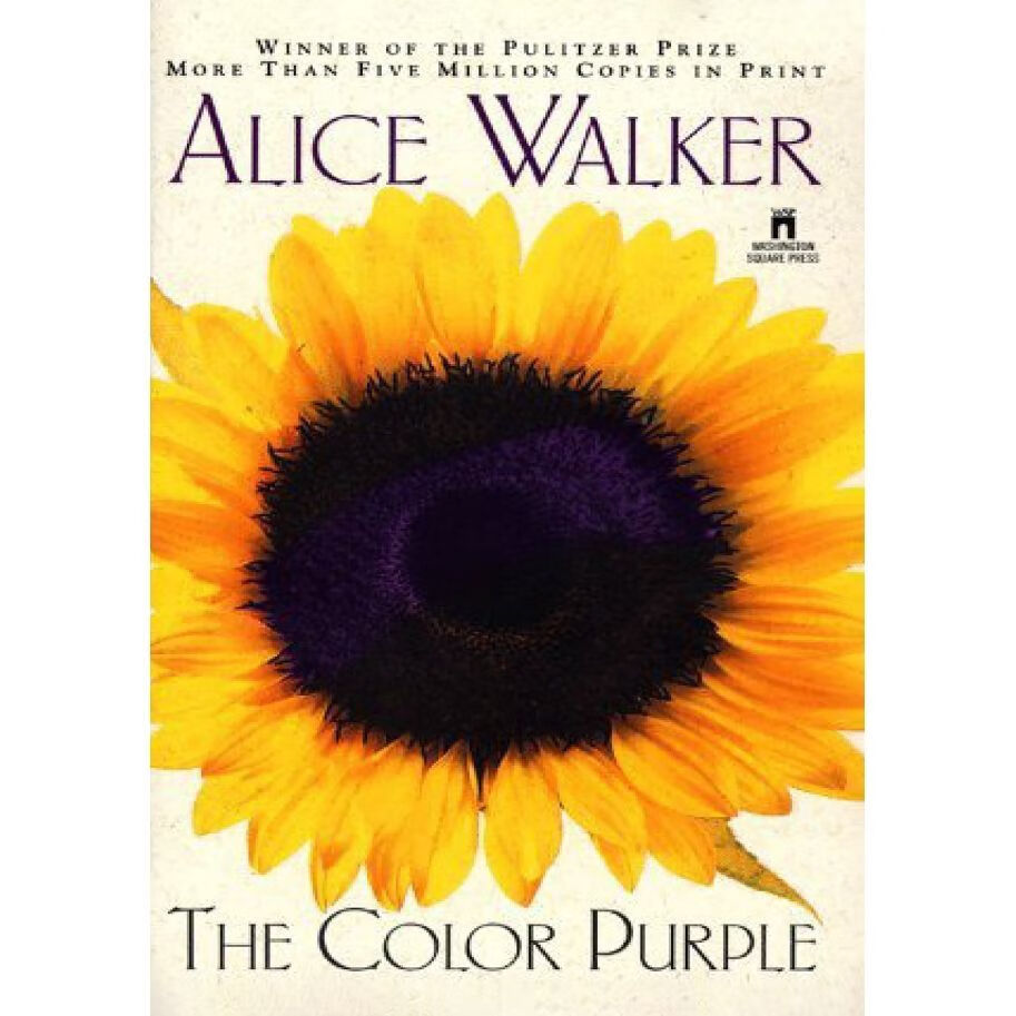 The Color Purple 英文版Alice Walker 纸质书 通用