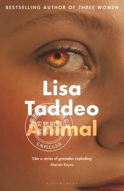 现货 动物 丽莎·塔迪奥Lisa Taddeo作品 三个女人作者 英文原版 Animal
