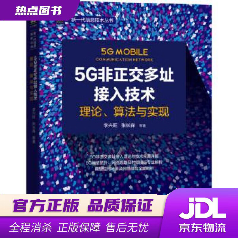 5G非正交多址接入技术：理论、算法与实现 李兴旺,张长森 机械工业出版社