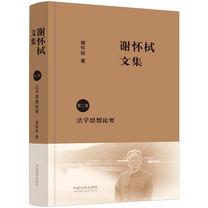 当季新品 谢怀栻文集（第二卷） 谢怀栻 著