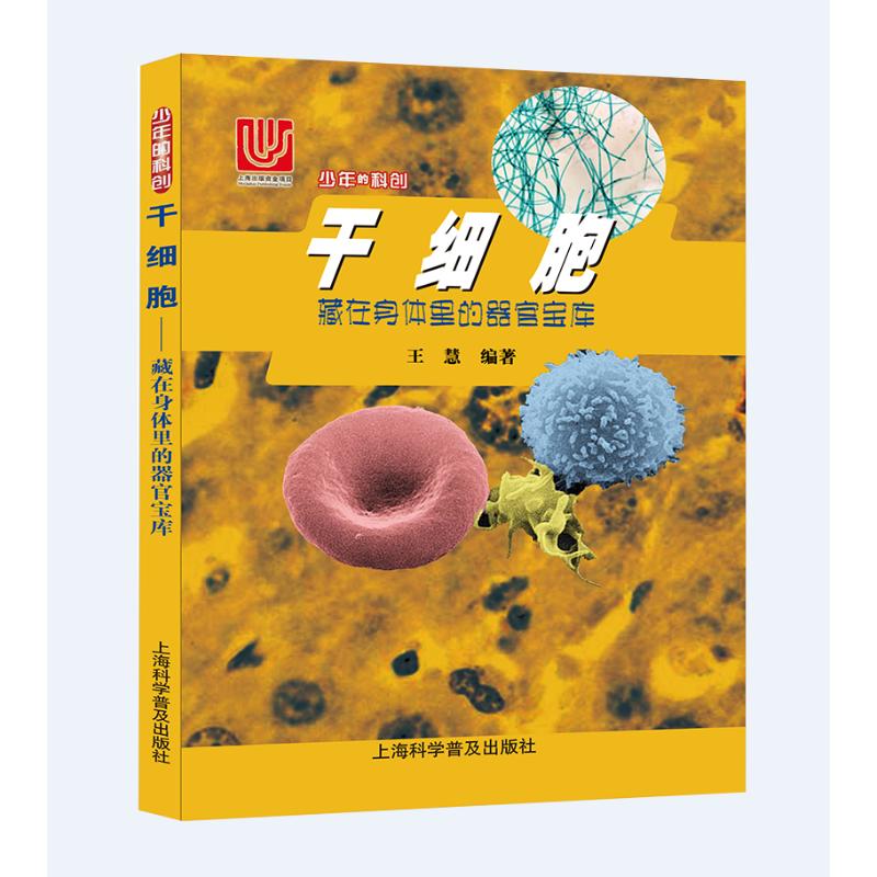 干细胞 藏在身体里的器官宝库