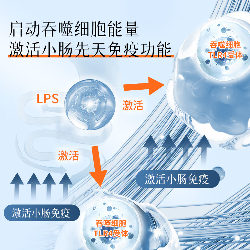 Dr.LPS日本进口益生菌大人儿童调理胃肠道便秘睡眠过敏提高免疫力保健品 【买16送6】需客服指导下单-京东-618/双十一/双11-京东折扣 ...
