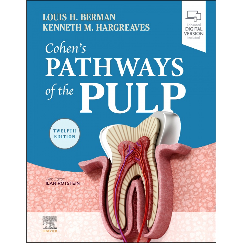 现货Cohen's Pathways of the Pulp Cohen牙髓之路
