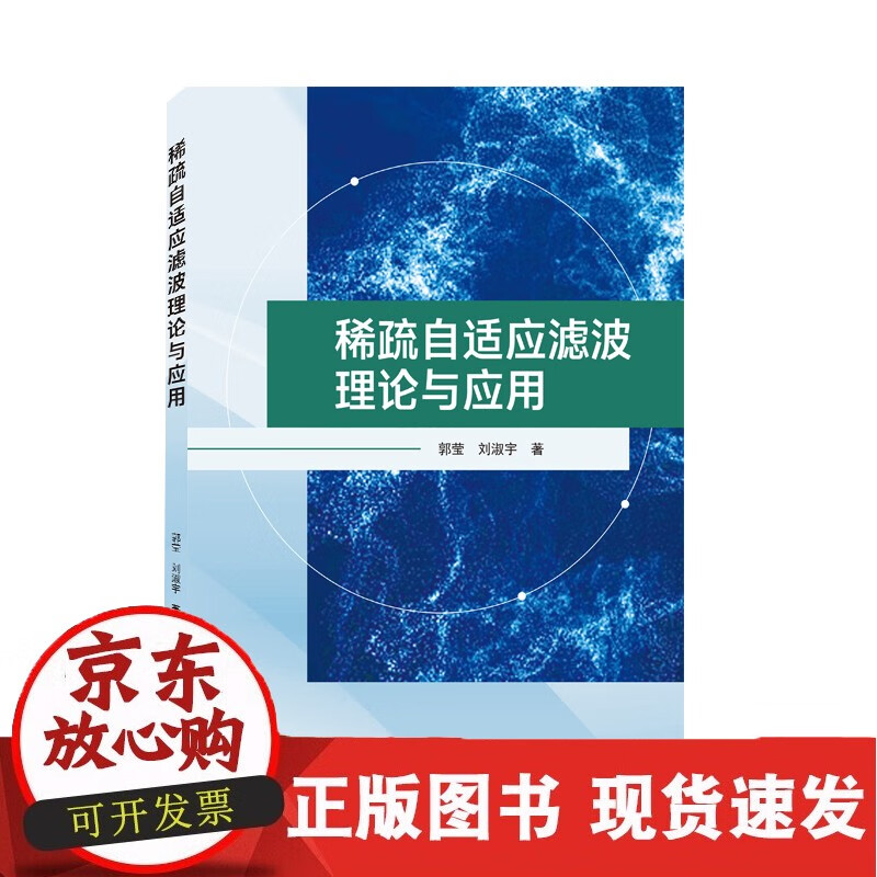 稀疏自适应滤波理论与应用