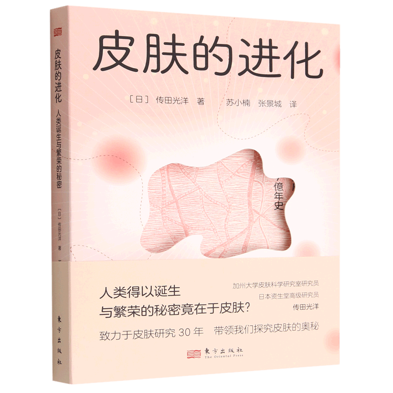 皮肤的进化(人类诞生与繁荣的秘密)