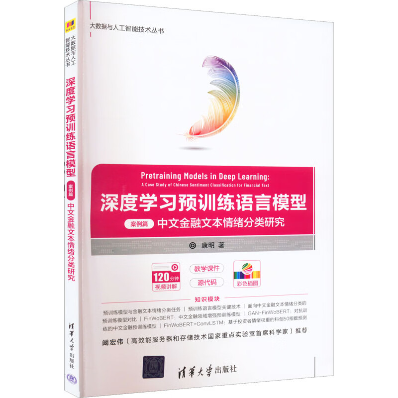 深度学习预训练语言模型 案例篇 中文金融文本情绪分类研究 图书