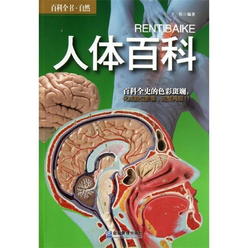 人体百科 王红 著