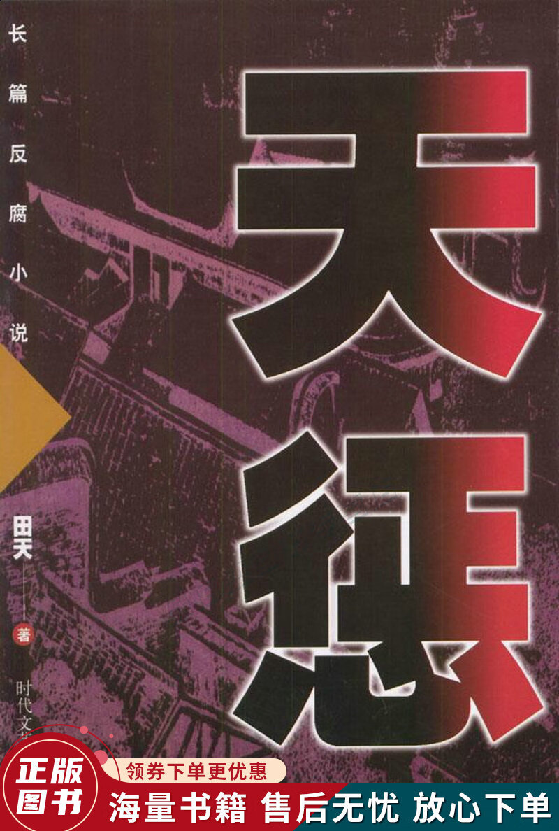 长篇反腐小说：天惩