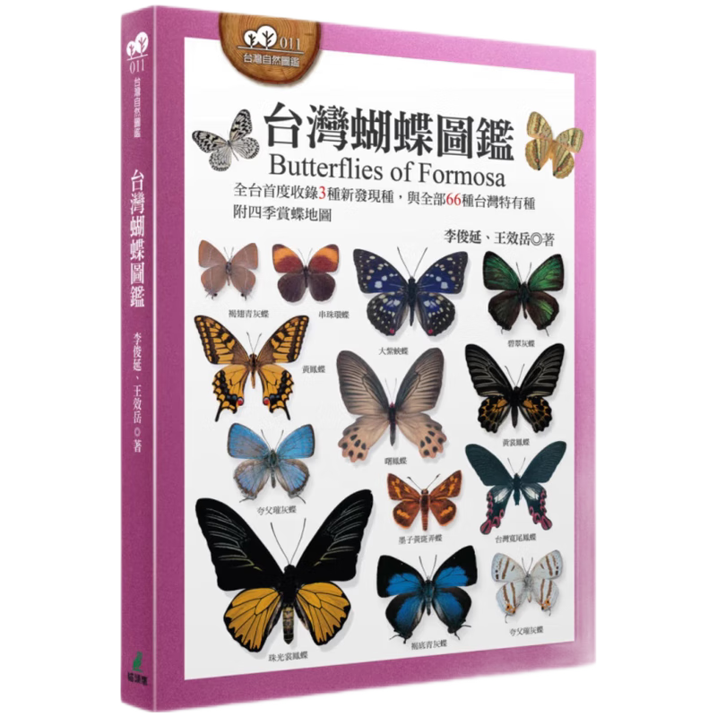 现货原版进口台湾蝴蝶图鉴猫头鹰 9789862624548