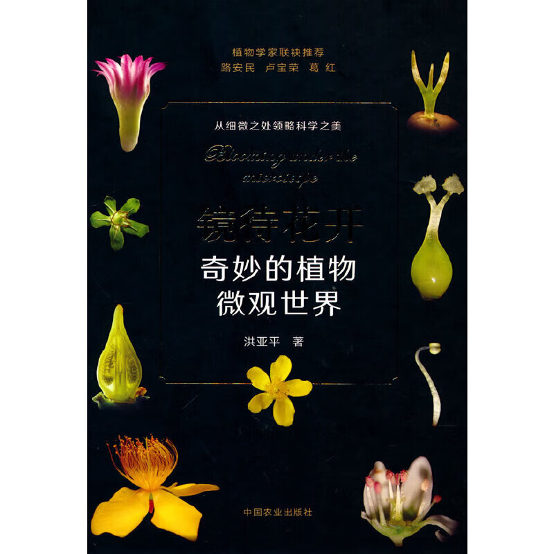 镜待花开 奇妙的植物微观世界