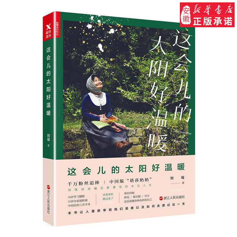 这会儿的太阳好温暖 刘瑶 著