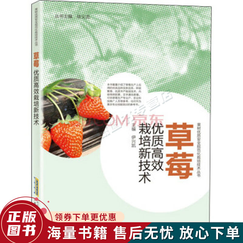 草莓优质高效栽培新技术