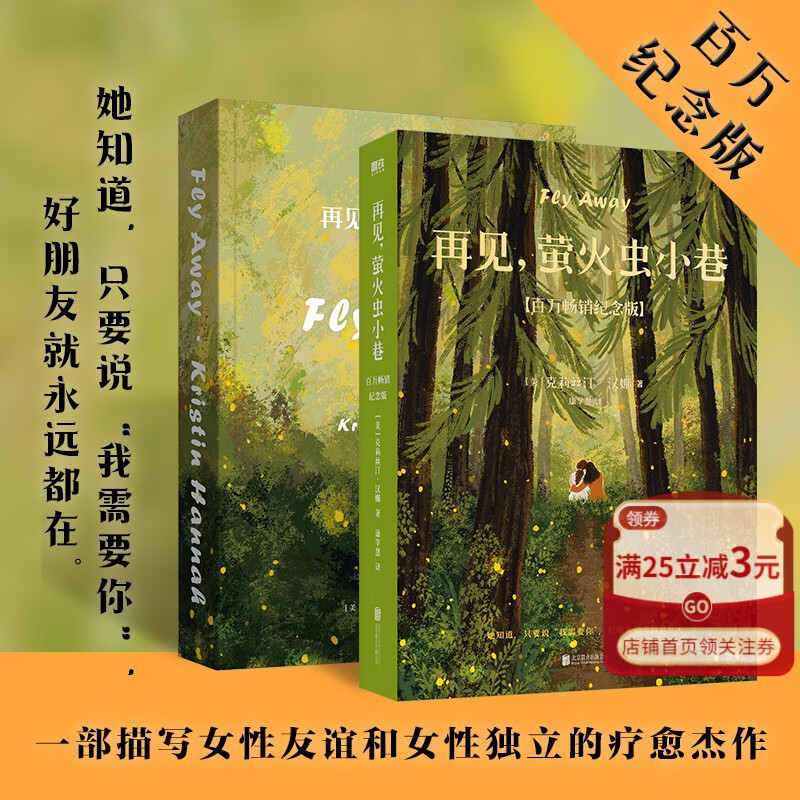 再见萤火虫小巷(百万畅销纪念版) 克里斯汀汉娜著 女性励志文学 关于友情 疗愈杰作外国小说畅销书籍 《四面风》作者 偷书贼