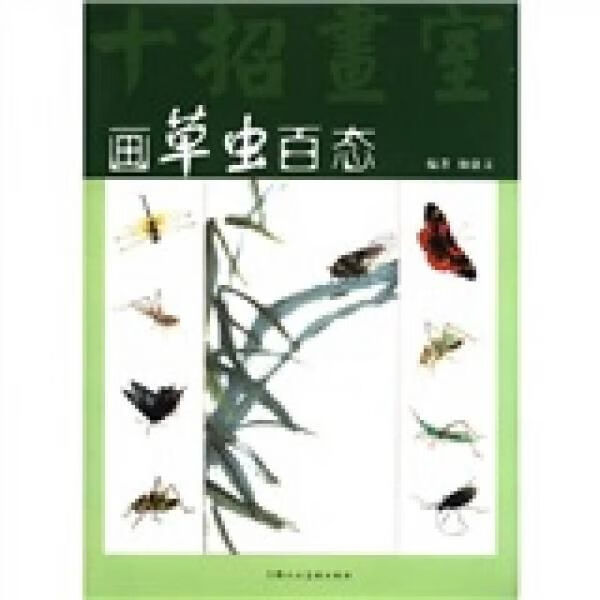 十招画室：画草虫百态