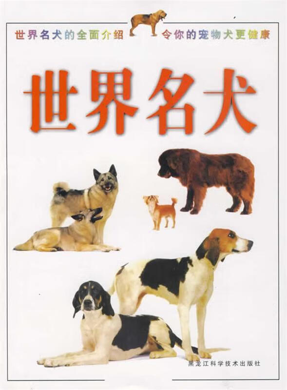 世界名犬【，放心购买】