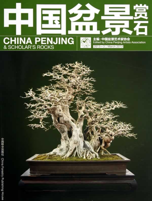 中国盆景赏石2013-3