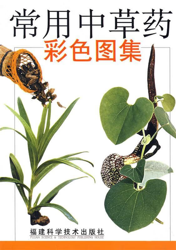 常用中草药彩色图集
