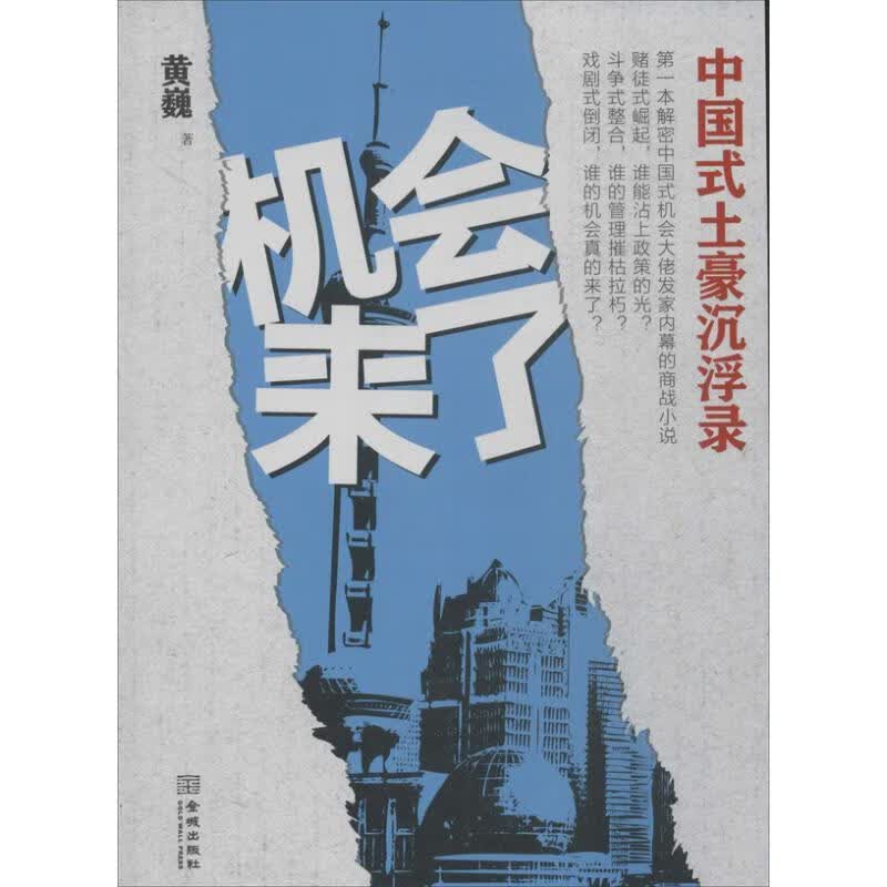 机会来了 黄巍 著 金城出版社