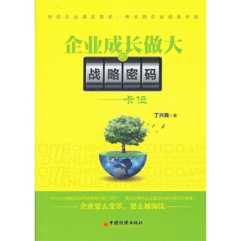 企业成长做大的战略密码 丁兴良著