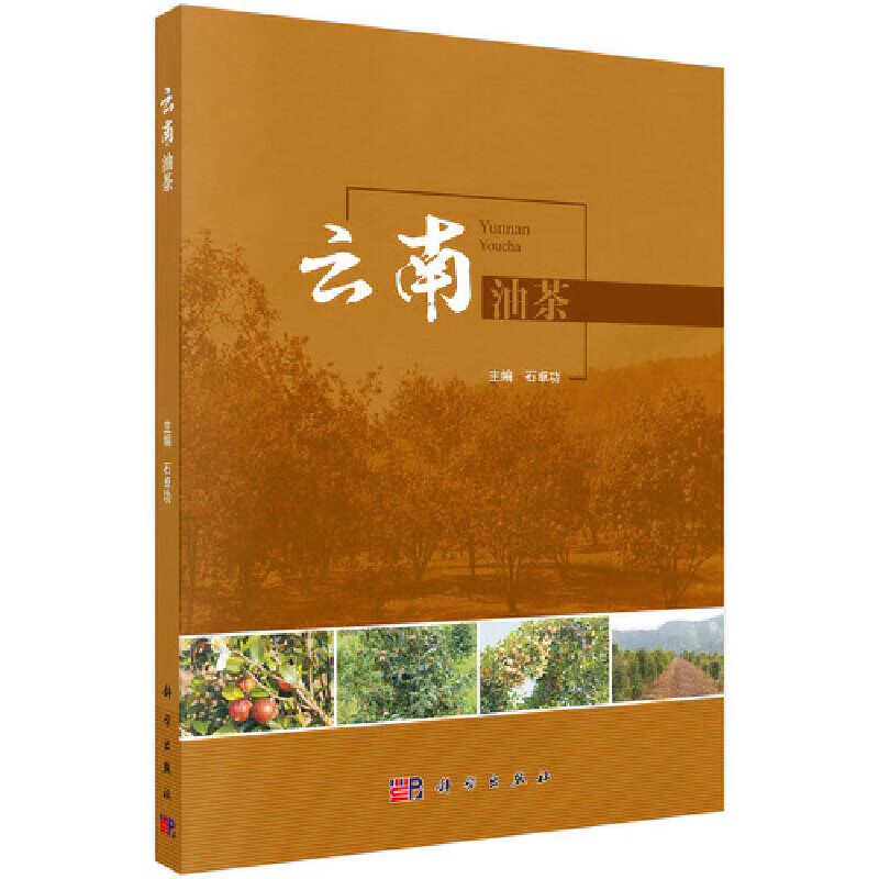 【现货】云南油茶