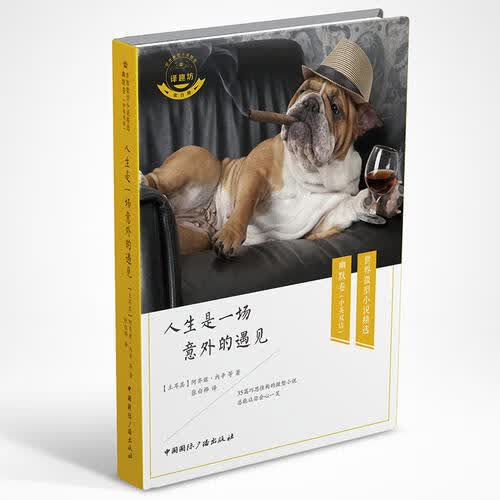 人生是一场意外的遇见(双语)【精选】