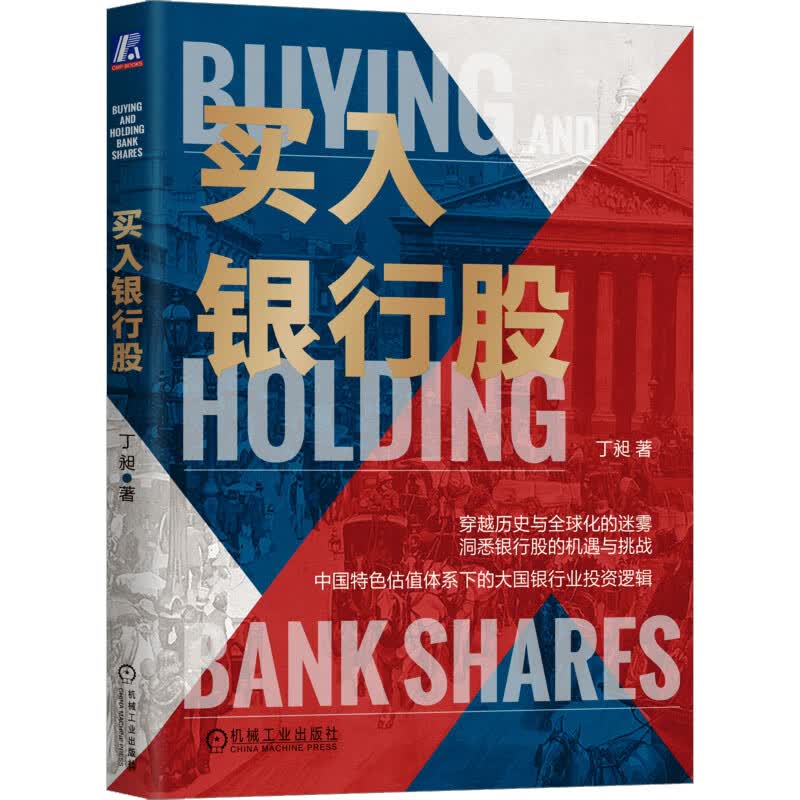 买入银行股 丁昶 著