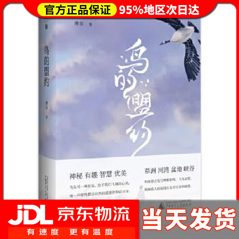 鸟的盟约 傅菲