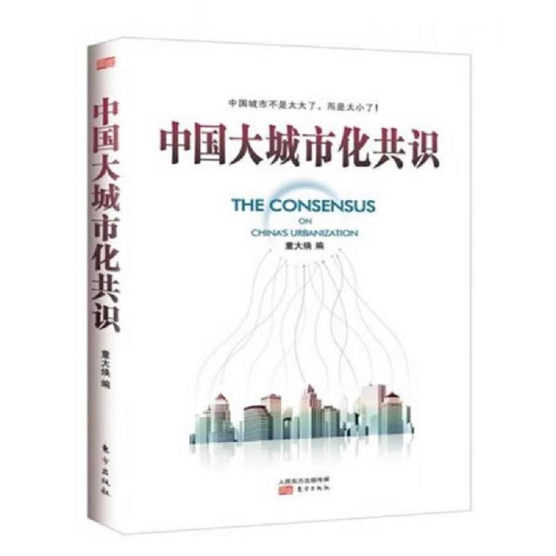 中国大城市化共识