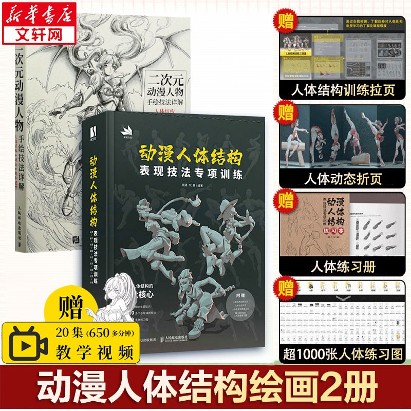 动漫人体结构表现技法专项训练 施通TC晨著 人体结构绘画教程游戏动漫人体结构 赠练习册+训练拉页+动态折页 人民邮电出版社 二次元动漫人物手绘技法详解+动漫人体结构表现技法专