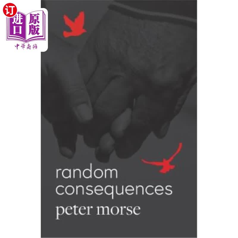 海外直订random consequences 随机后果