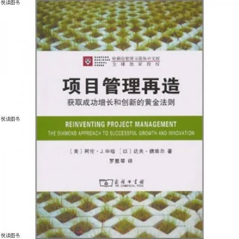 项目管理再造