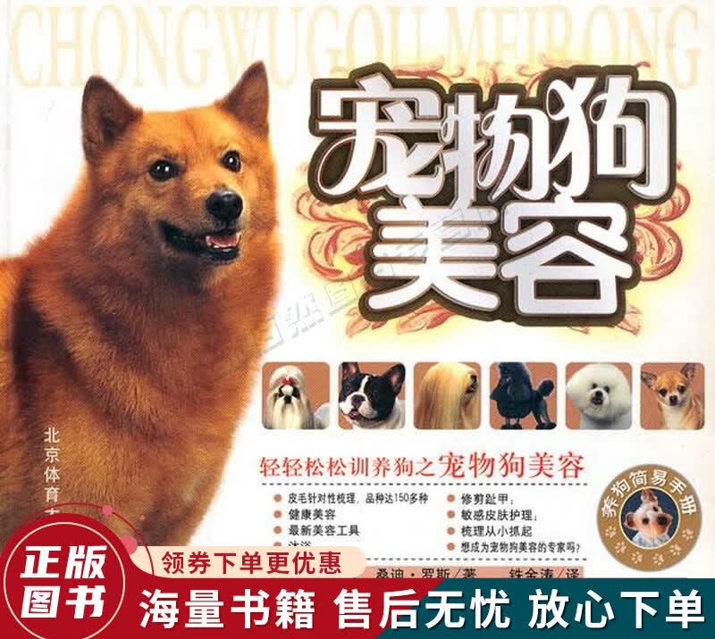 宠物狗美容