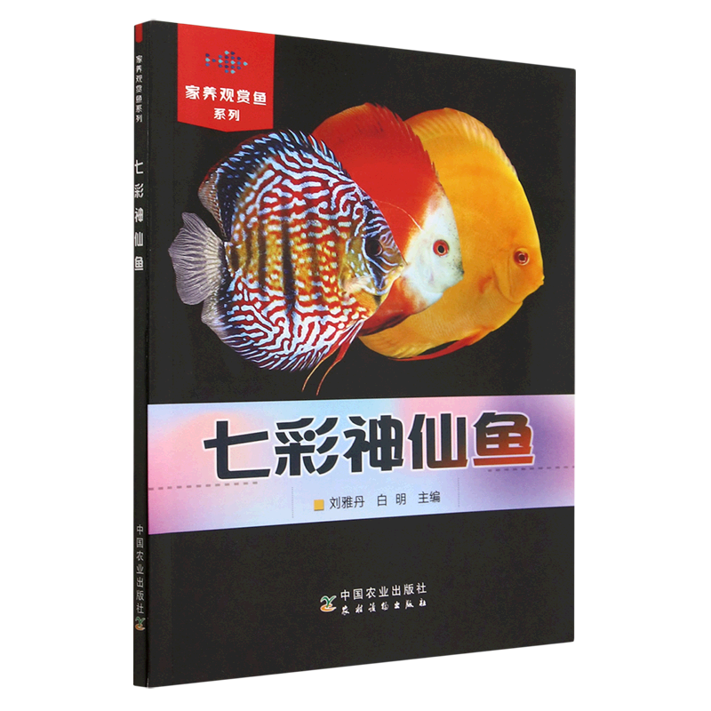 七彩神仙鱼/家养观赏鱼系列