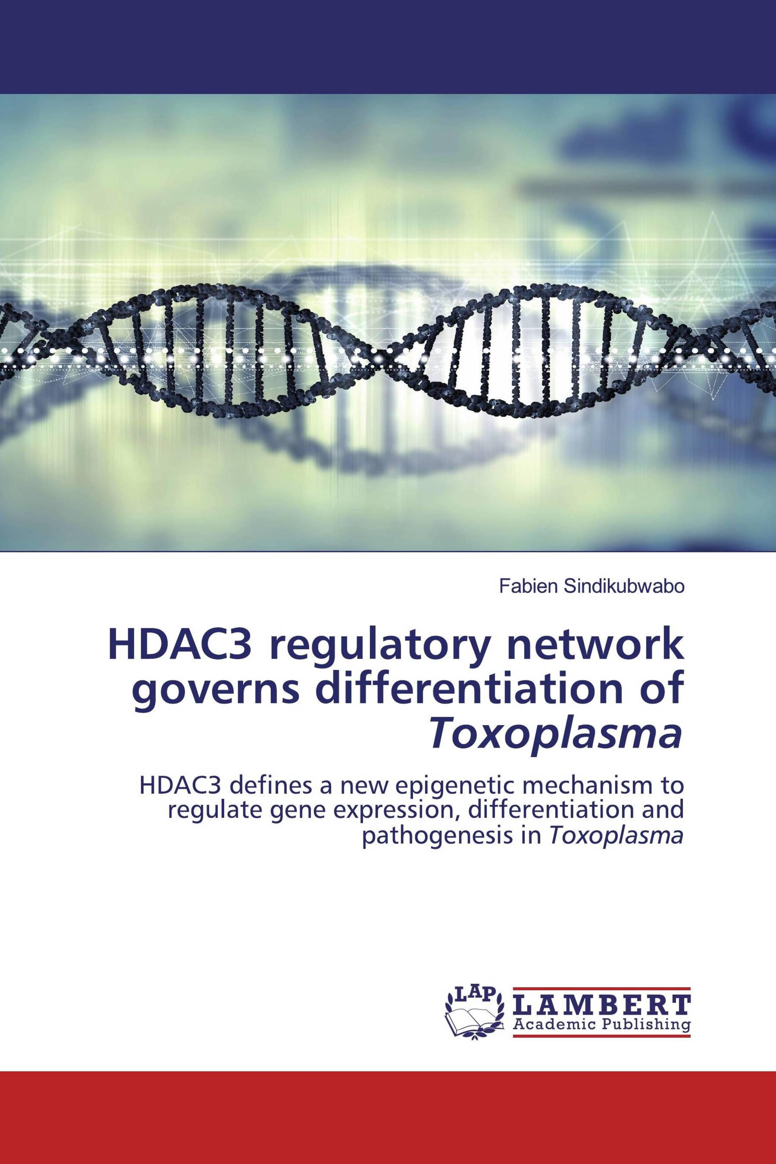 HDAC3 regulatory network governs differentiation