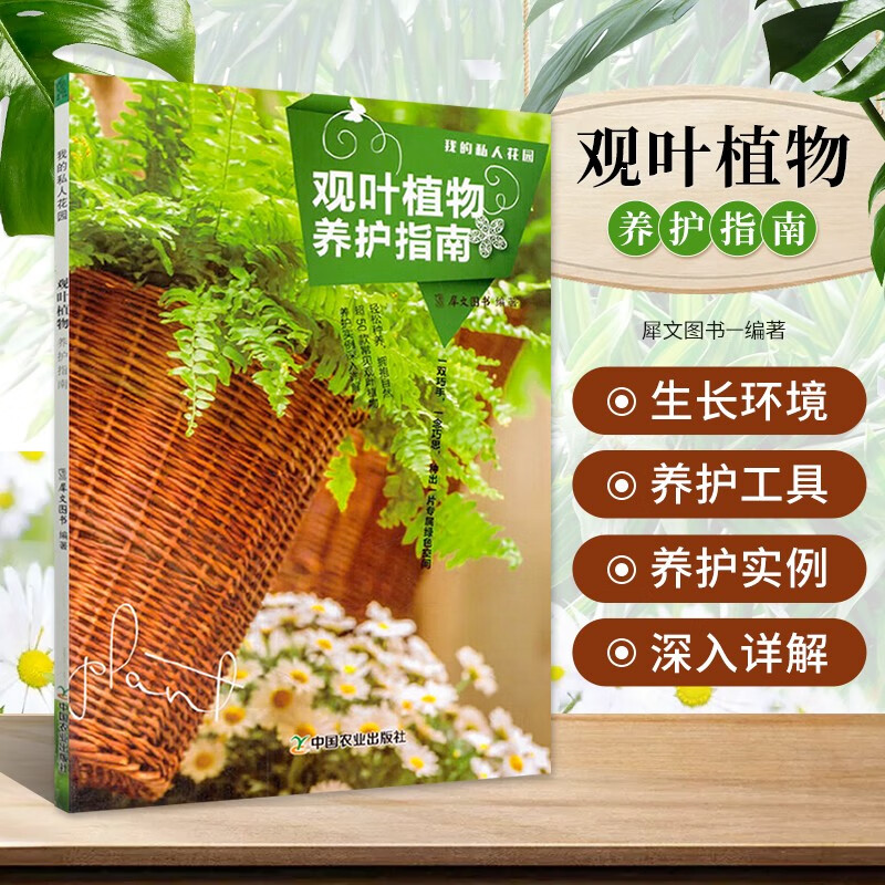 观叶植物养护指南 家庭花卉植物养殖宝典养花入门指南 家庭观赏植物种植手册