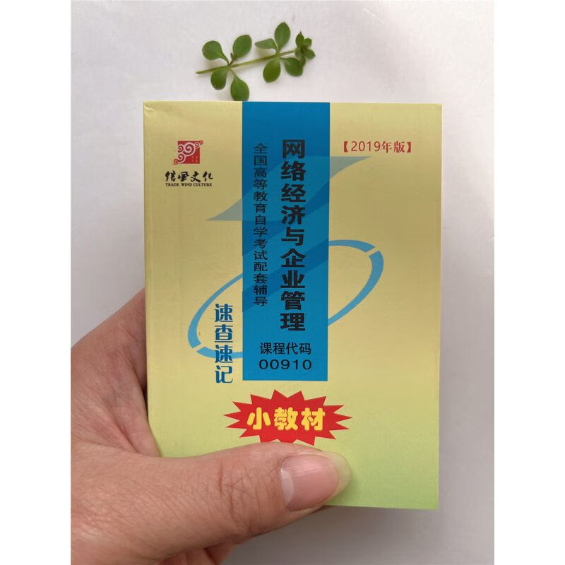 自考小册子 00910 网络经济与企业管理 速查速记小教材