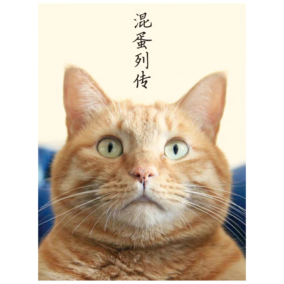 二手旧书不靠谱的演员都爱说如果张译混蛋列传人民文学出版社 混蛋列传 彩图册