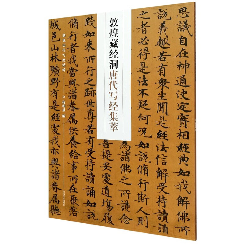 敦煌藏经洞唐代写经集萃/新见历代写经精粹