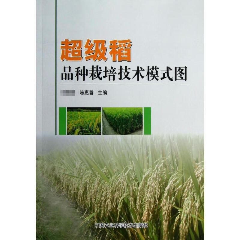 超级稻品种栽培技术模式图