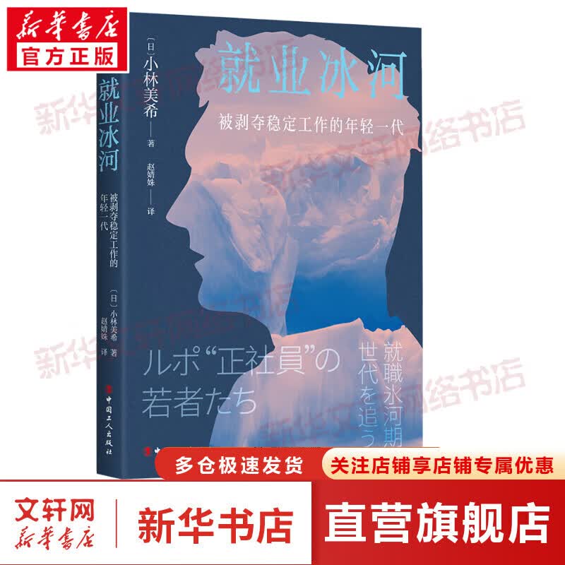就业冰河 被剥夺稳定工作的年轻一代 图书