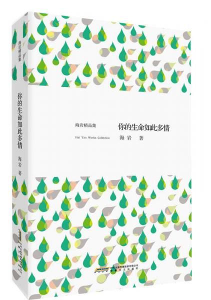 海岩精品集：你的生命如此多情 海岩