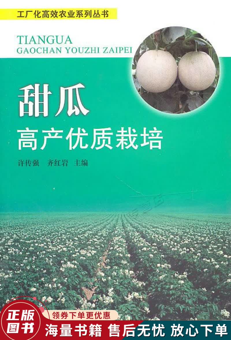甜瓜高产优质栽培