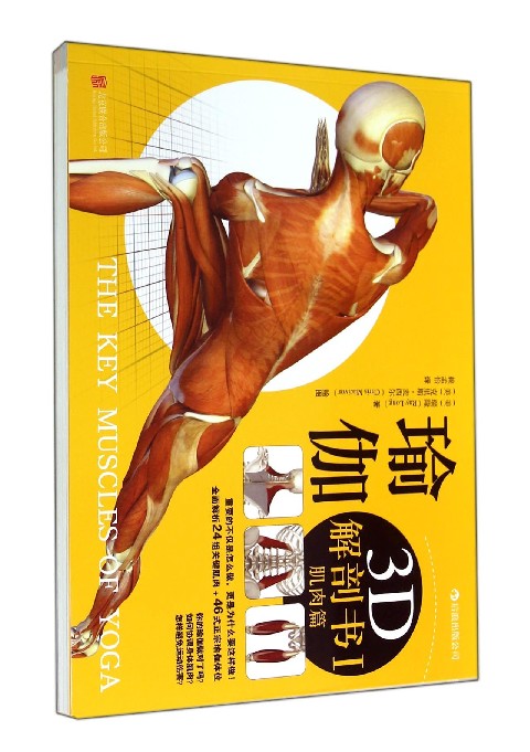 瑜伽3D解剖书(Ⅰ肌肉篇)