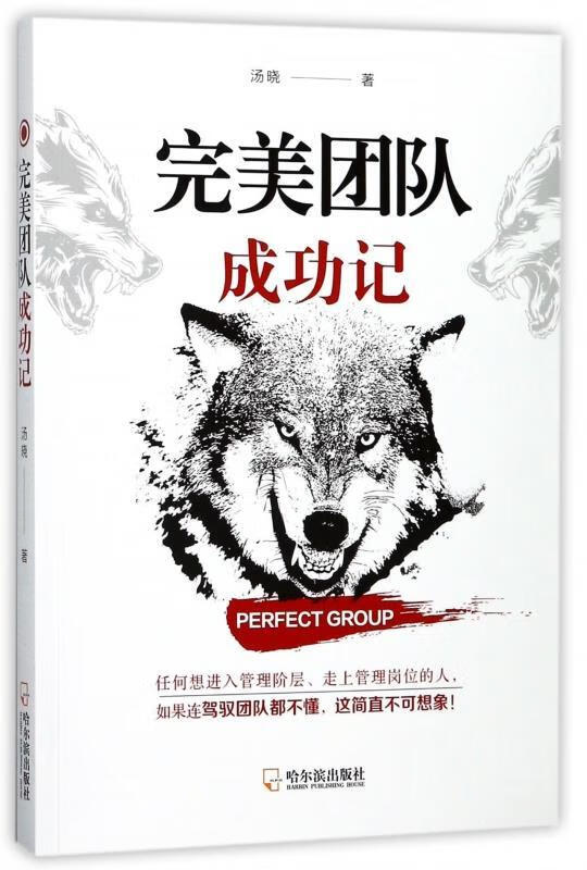 完美团队成功记 汤晓 著