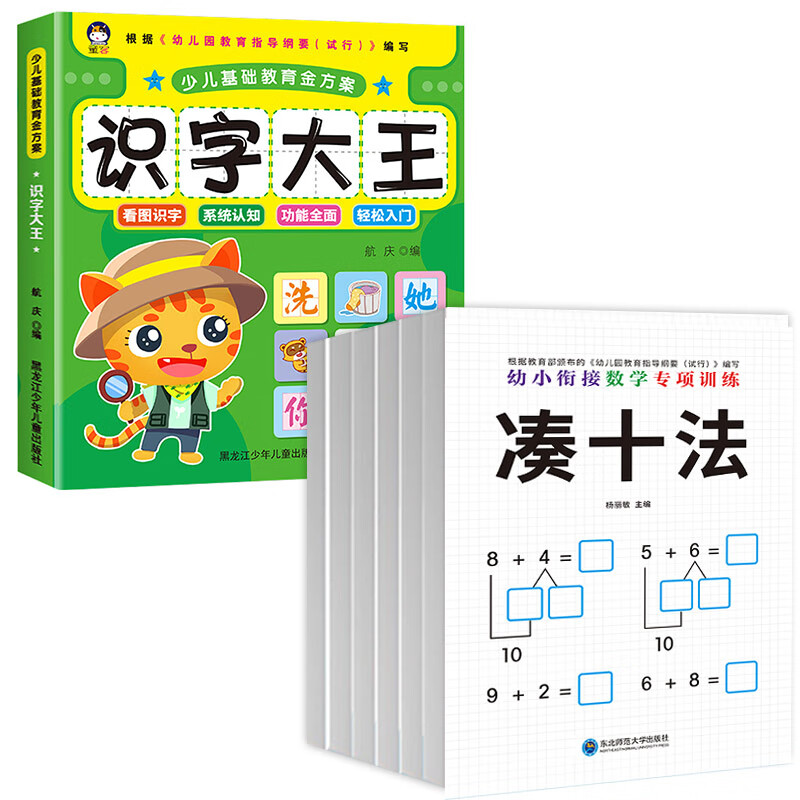 全套6册凑十法借十法平十法和破十法幼小衔接一日一练数学教材思维训练专项综合练习 数学专项练习全套6册+识字大王