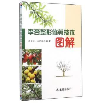 李杏整形修剪技术图解
