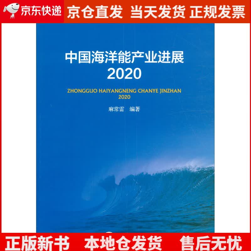 中国海洋能产业进展2020《现货速发》，
