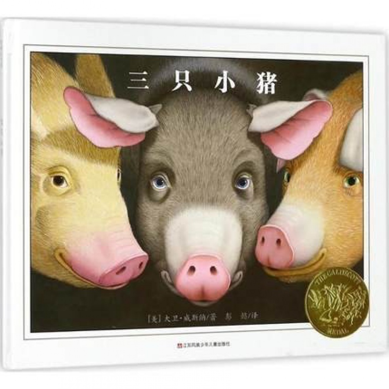 精装凯迪克金奖绘本 ： 三只小猪 3-6岁绘本 图画书 卡通 动漫亲子阅读绘本三只小猪 绘本硬壳精装幼儿儿童3-4-5-6岁幼儿园故事书国外获奖经典亲子情商启蒙宝宝睡前小学生畅销书籍凯迪克金奖图画书