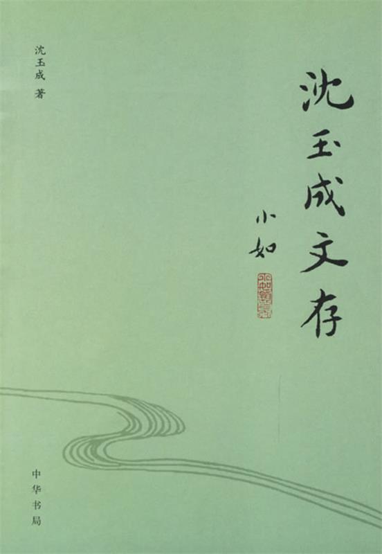 沈玉成文存 沈玉成 著